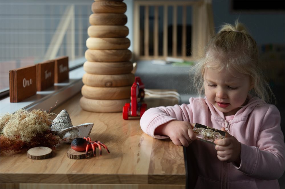 Gallery - Childsteps